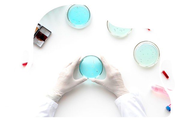 Home | Micrology Labs