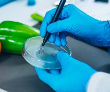 Home | Micrology Labs