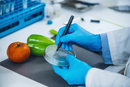 Food | Micrology Labs